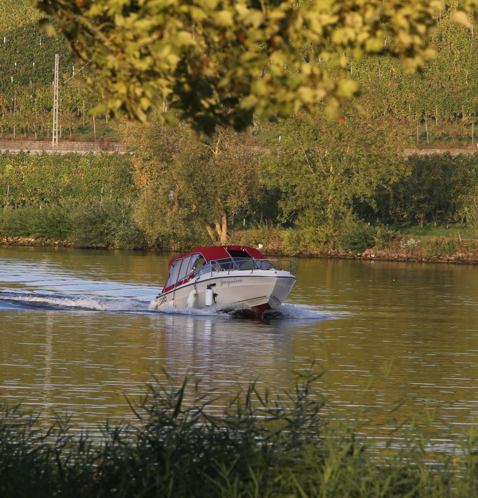 Galerie - Ville de Remich