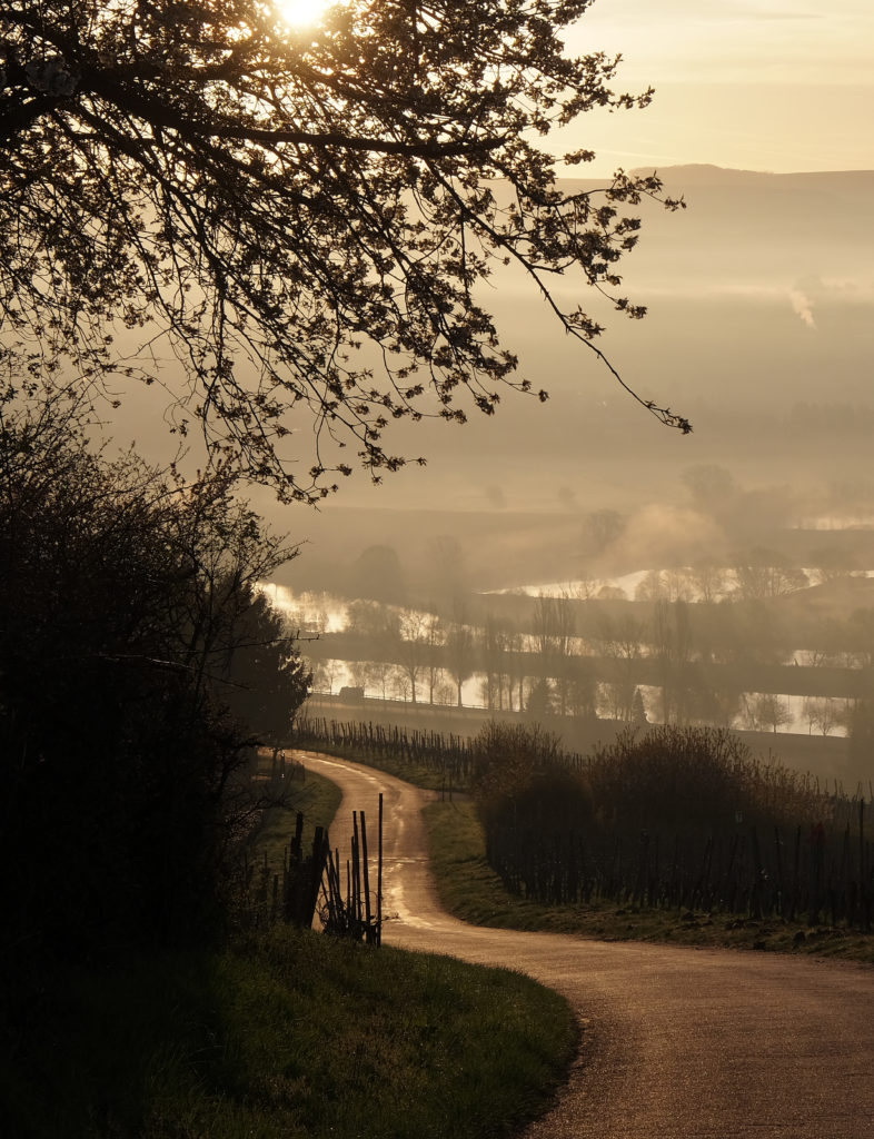 Startseite - Ville de Remich